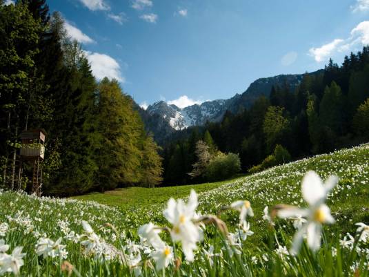 Chaleturlaub im Frühling